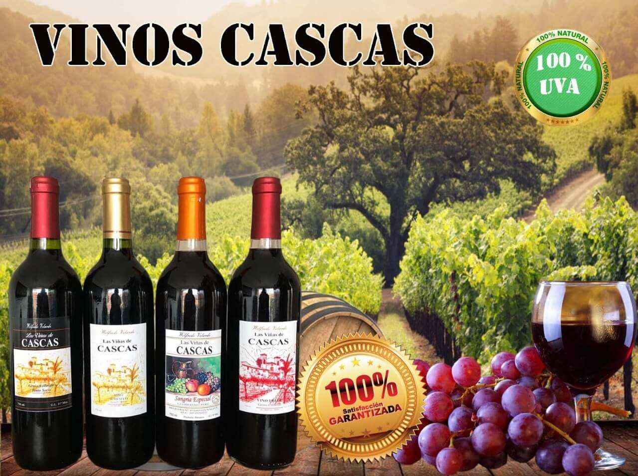 🥇Conoce el Catalogo de Bebidas - 【Vinos peruanos】