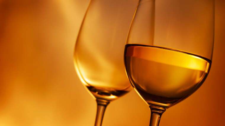 Blog | Los Vinos de Cascas | Conoce los tipos de vinos
